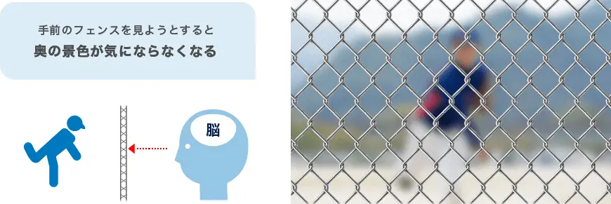 遠近両用コンタクトレンズが30%オフ。ワンデー アキュビュー® オアシス® maxがお得に｜東京都内のアイシティ店舗で開催中