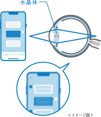 遠近両用コンタクトレンズが30%オフ。ワンデー アキュビュー® オアシス® maxがお得に｜東京都内のアイシティ店舗で開催中